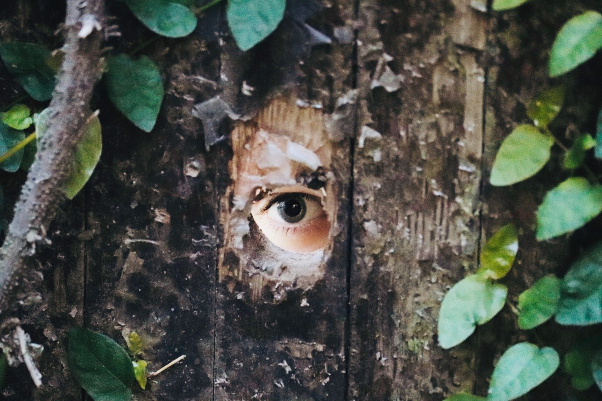 Glimpse – A poem – Lauren Kathleen